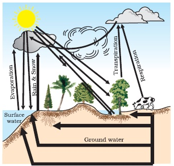 Water Cycle Diagram For Class 9