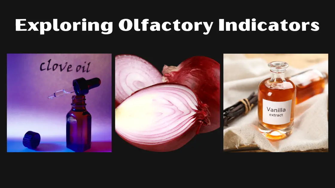 Activity 2 2 Class 10 Science Understanding Olfactory Indicators