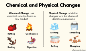 Difference between physical and chemical change