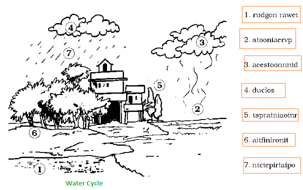 Water Cycle Diagram For Class 7