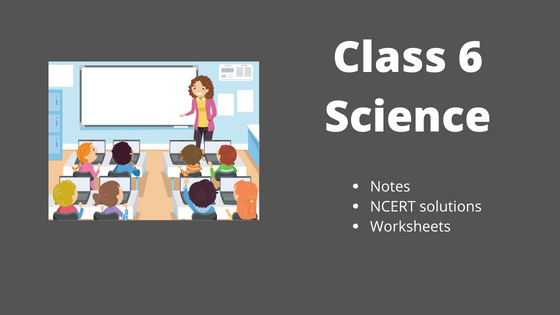 NCERT Solutions for class 6 Science, Notes, Worksheets